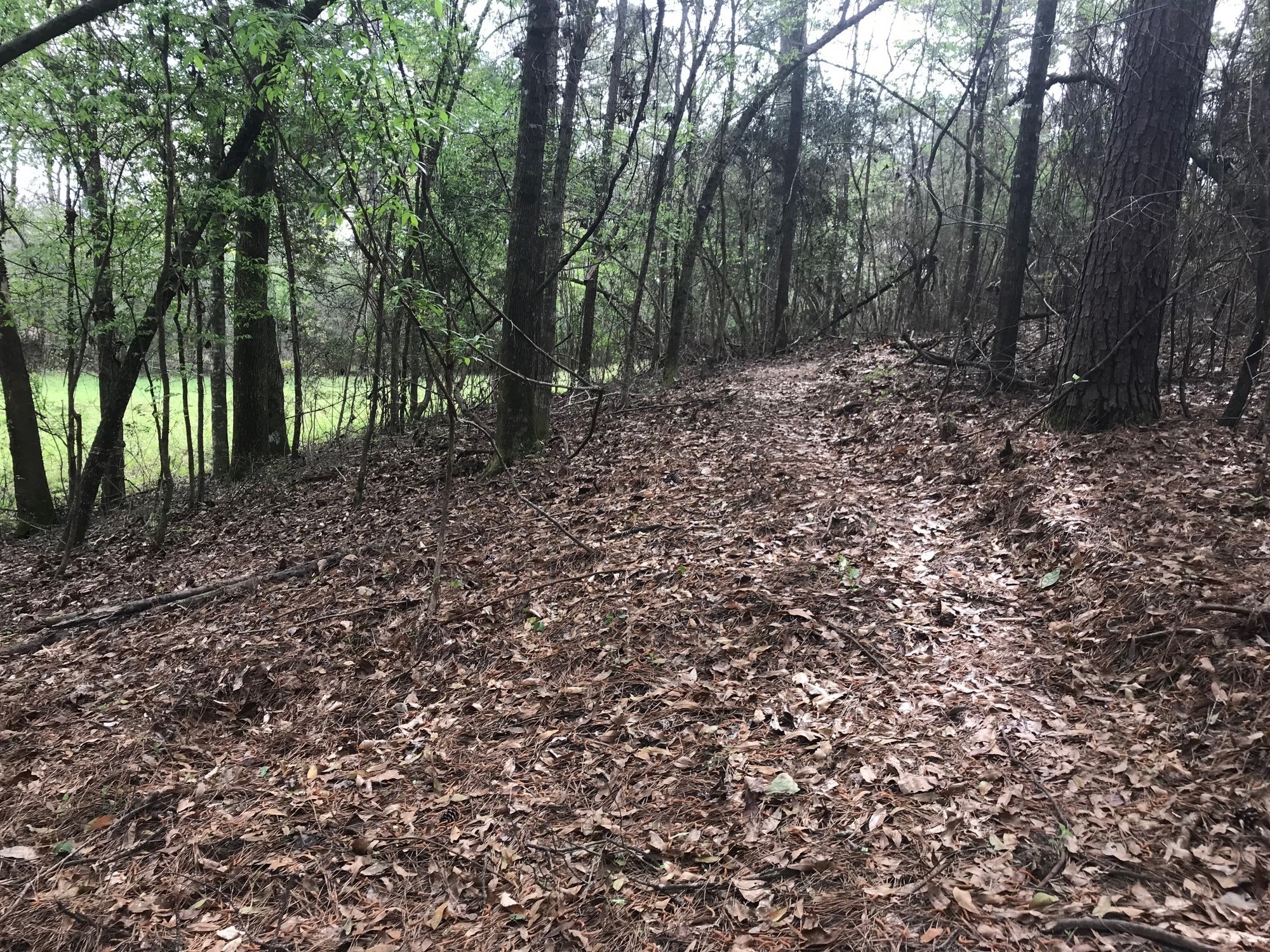 18 percent of trail required hand bench cutting into hillsides to level ...