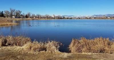 Mountain Bike Trails near Berkeley Lake Park