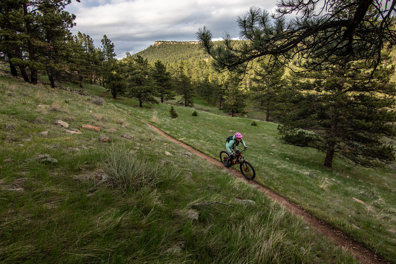 Overland Loop laps at sunset