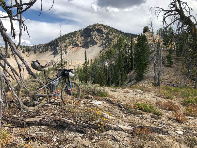 West Warrior Trail Mountain Bike Trail, Idaho City, Idaho