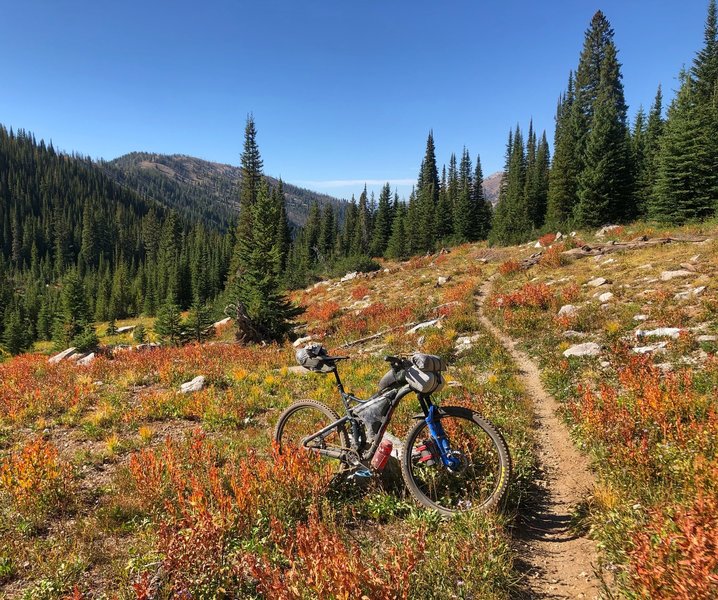 Decker Creek Loop Mountain Bike Trail, Idaho City, Idaho