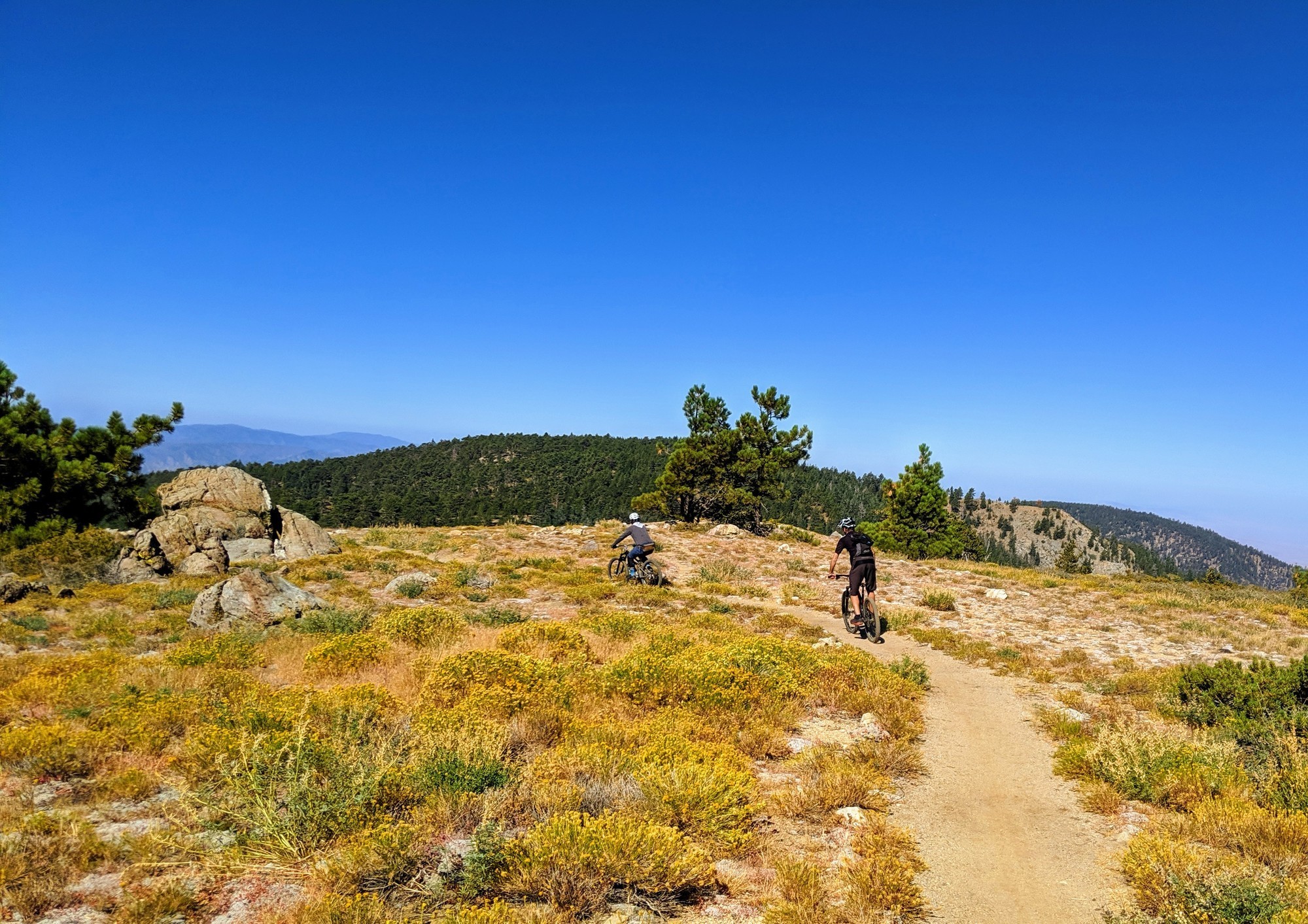 Continue west of the asphalt at the top of the Mt. Pinos Road for a ...