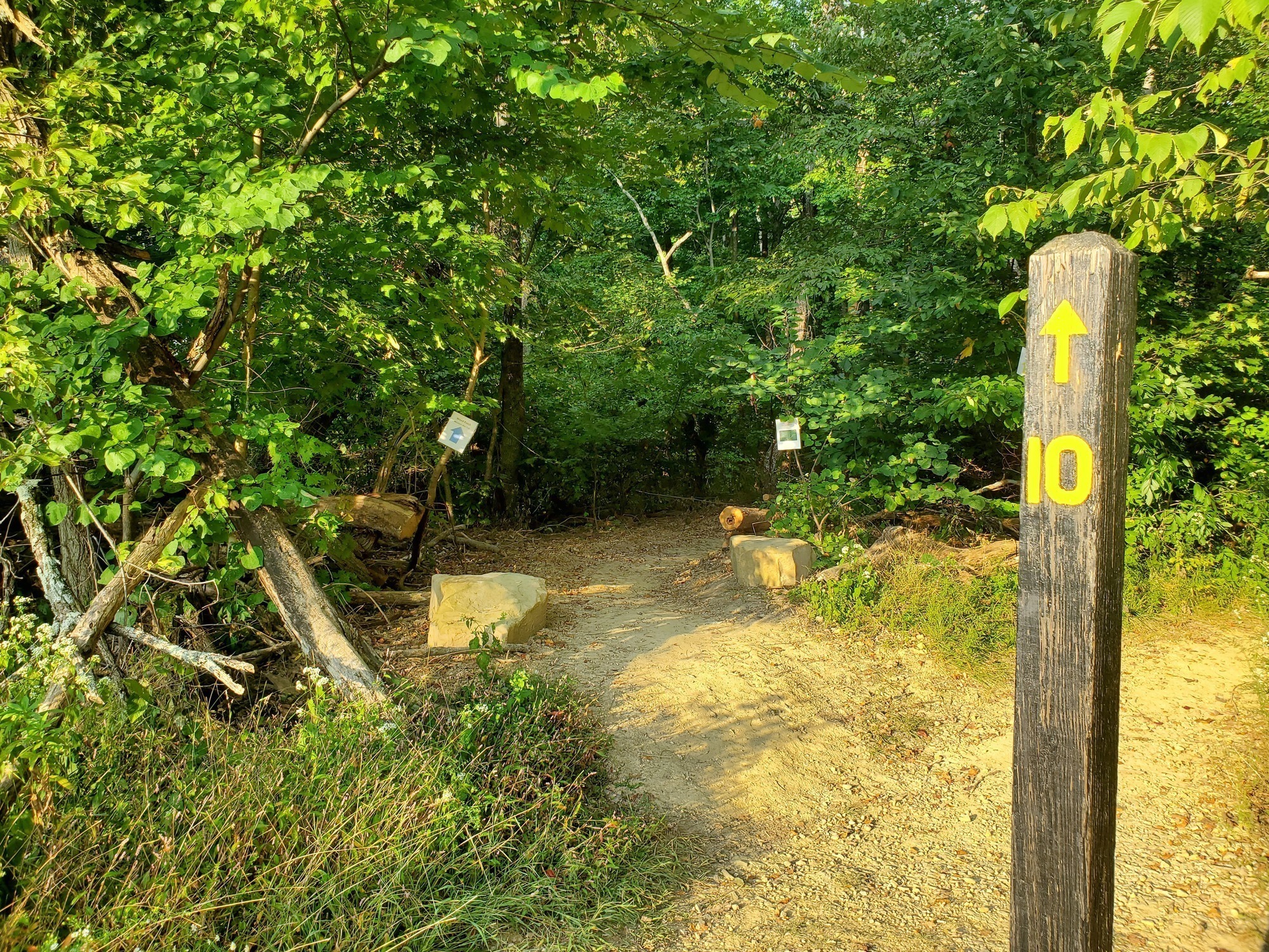 Beginning of Weedpatch counterclockwise by the fire tower.
