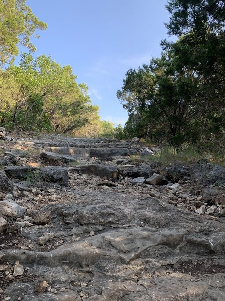 Sendero Balcones Mountain Bike Trail, Helotes, Texas