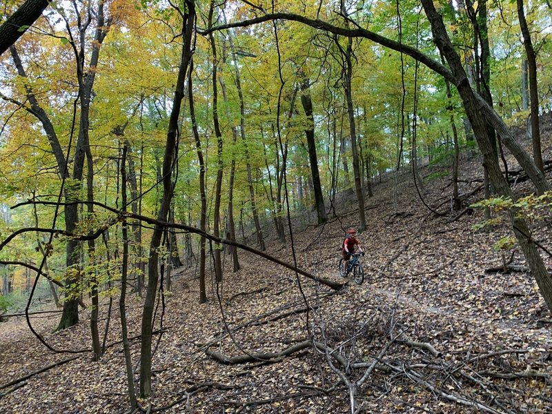 Fossil Ridge Loop Mountain Bike Trail, Wildwood, Missouri