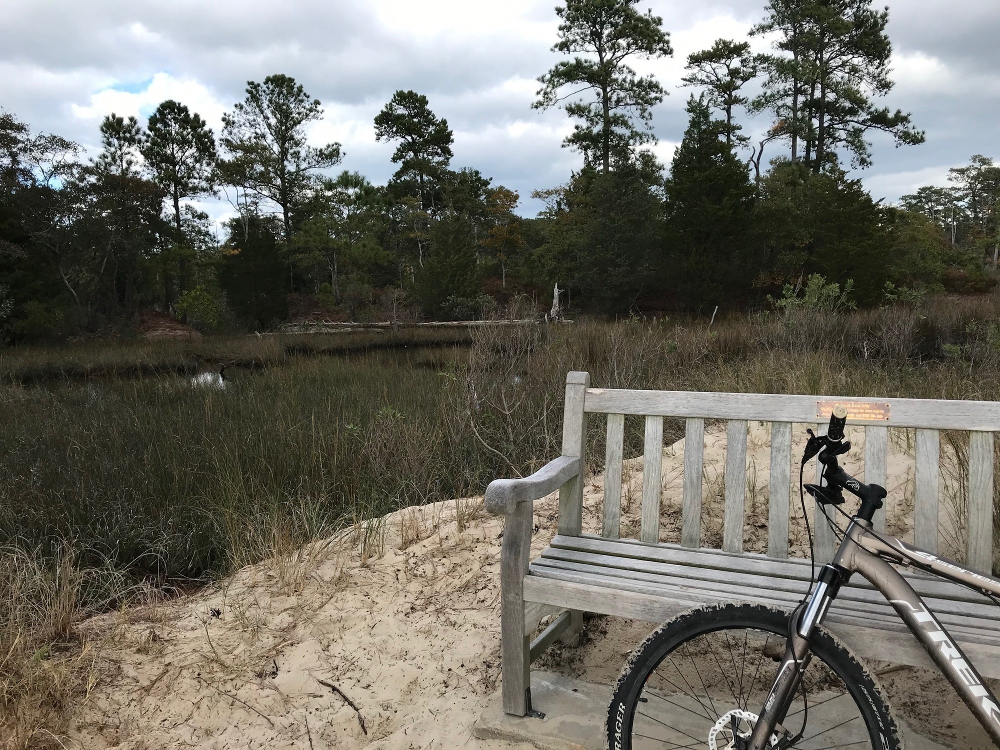 Nice resting spot in the sandy spot by the water.