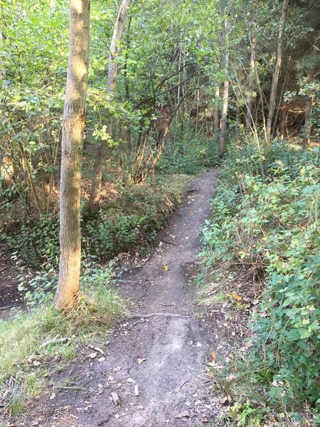 Nonnenbos Puurs Mountain Bike Trail, Bornem, Belgium