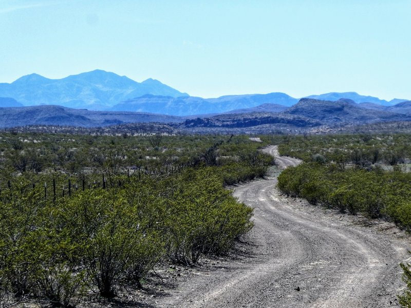 Llano Loop Mountain Bike Trail, Lajitas, Texas