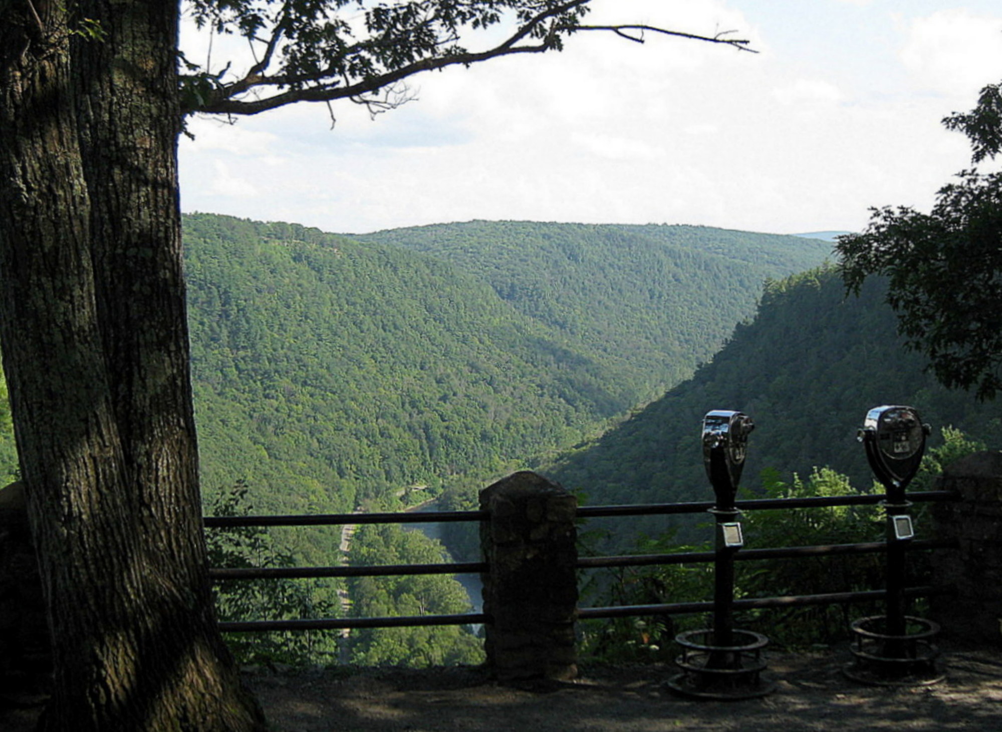 View from scenic overlook in Colton Point State Park, PA, looking at ...