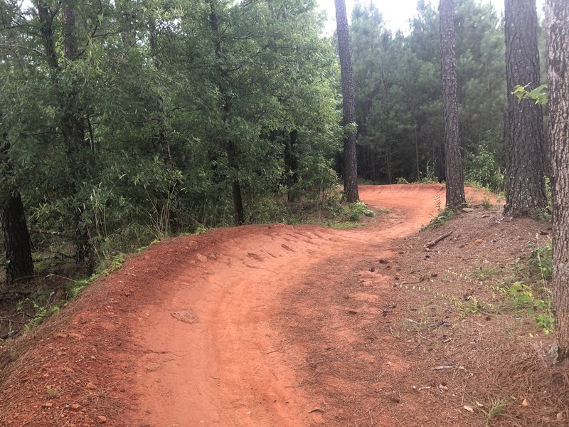 Widespread Mountain Bike Trail, Athens, Georgia