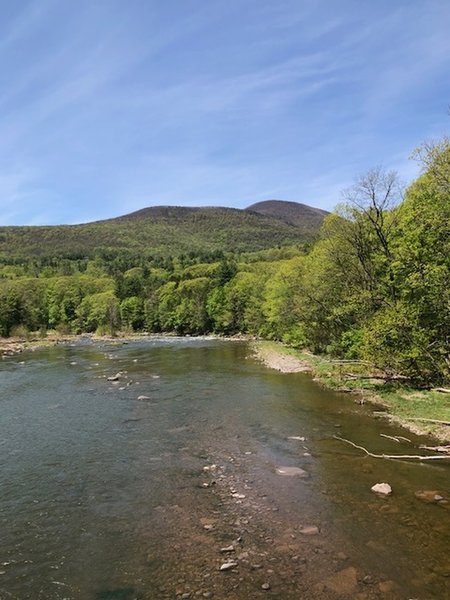 Esopus Creek