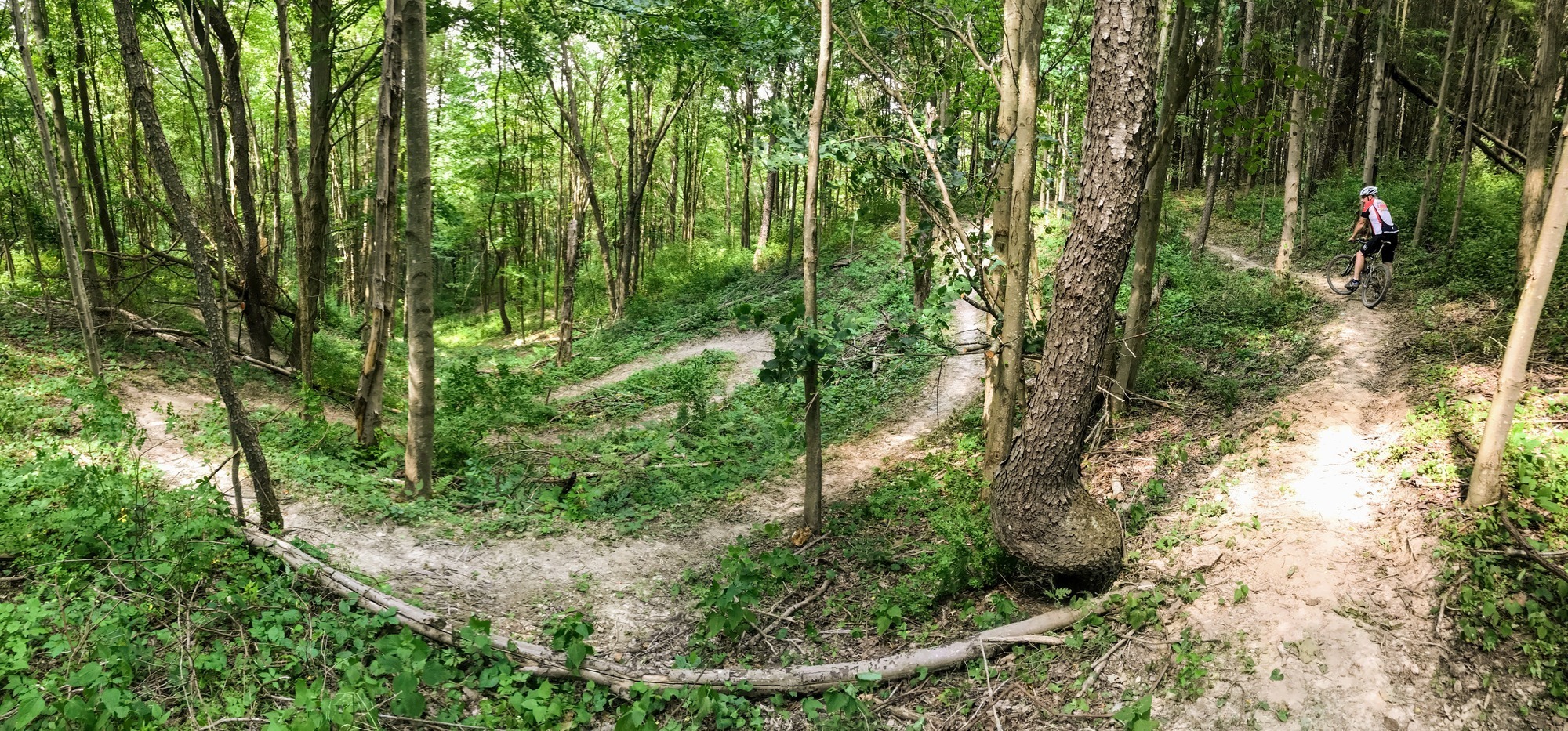 At the top of the "Sweet 16" dry ravine switchbacks