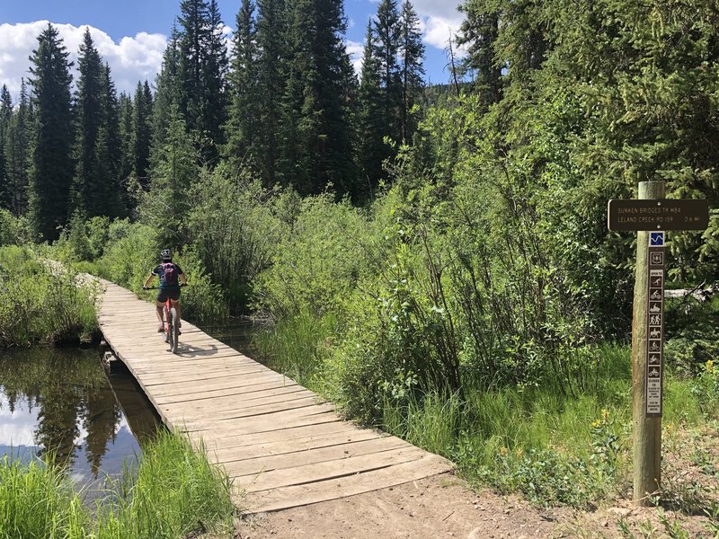 Sunken Bridges Mountain Bike Trail, Fraser, Colorado