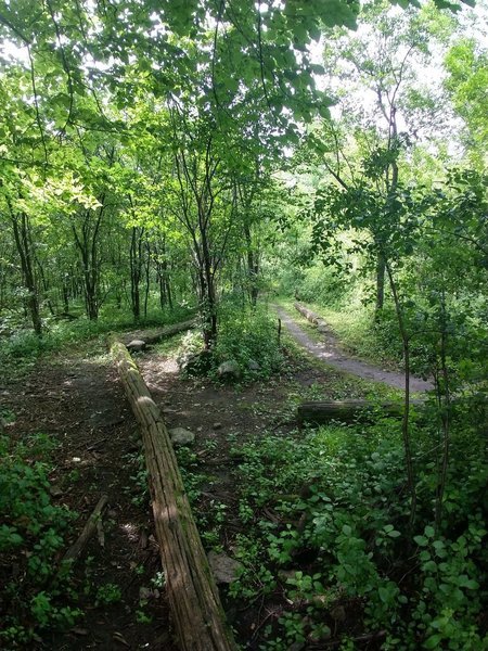 Creeper Mountain Bike Trail, Combined Locks, Wisconsin