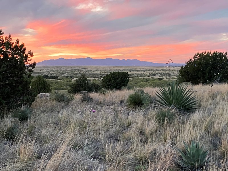 Garden Canyon / Brown Canyon Loop Mountain Bike Trail, Sierra Vista ...