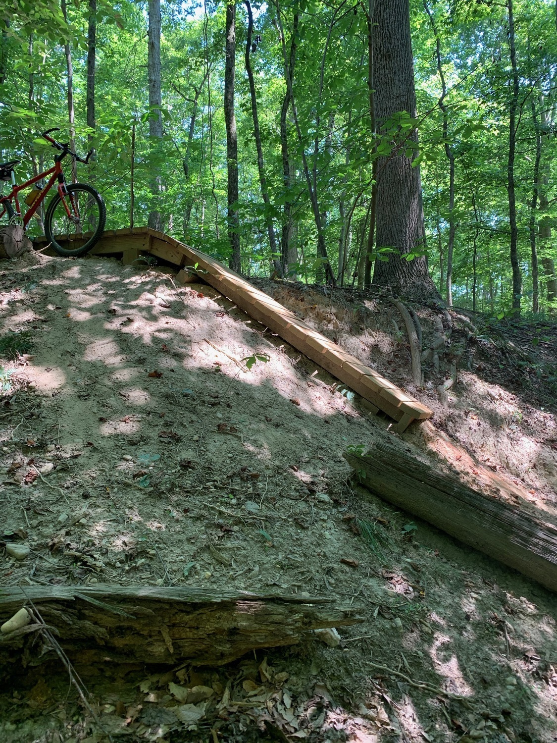 Steep decline ladder bridge