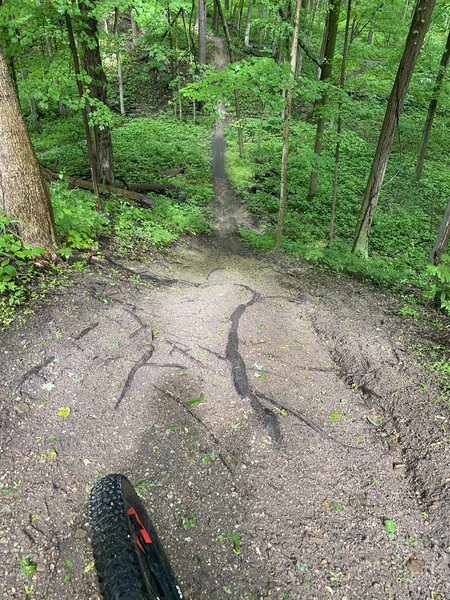 Red Trail Mountain Bike Trail, Berrien Springs, Michigan