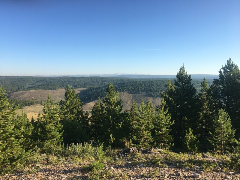 NF916.1 Pinkham Mountain Loop - Overlook viewing Medicine Bow Peak ...