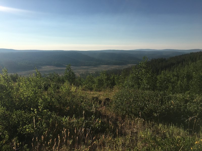 NF916.1 Pinkham Mountain Loop - Overlook viewing Roosevelt NF - Canyon ...