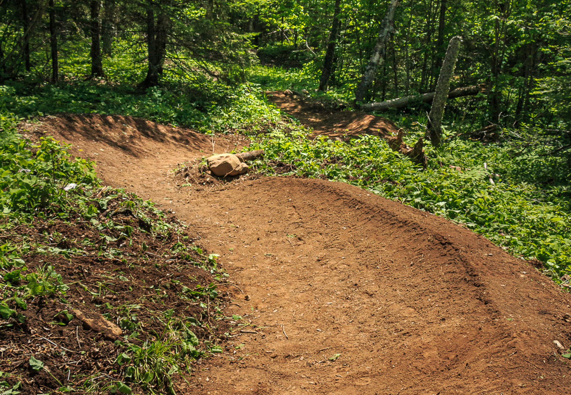 Field of Berms