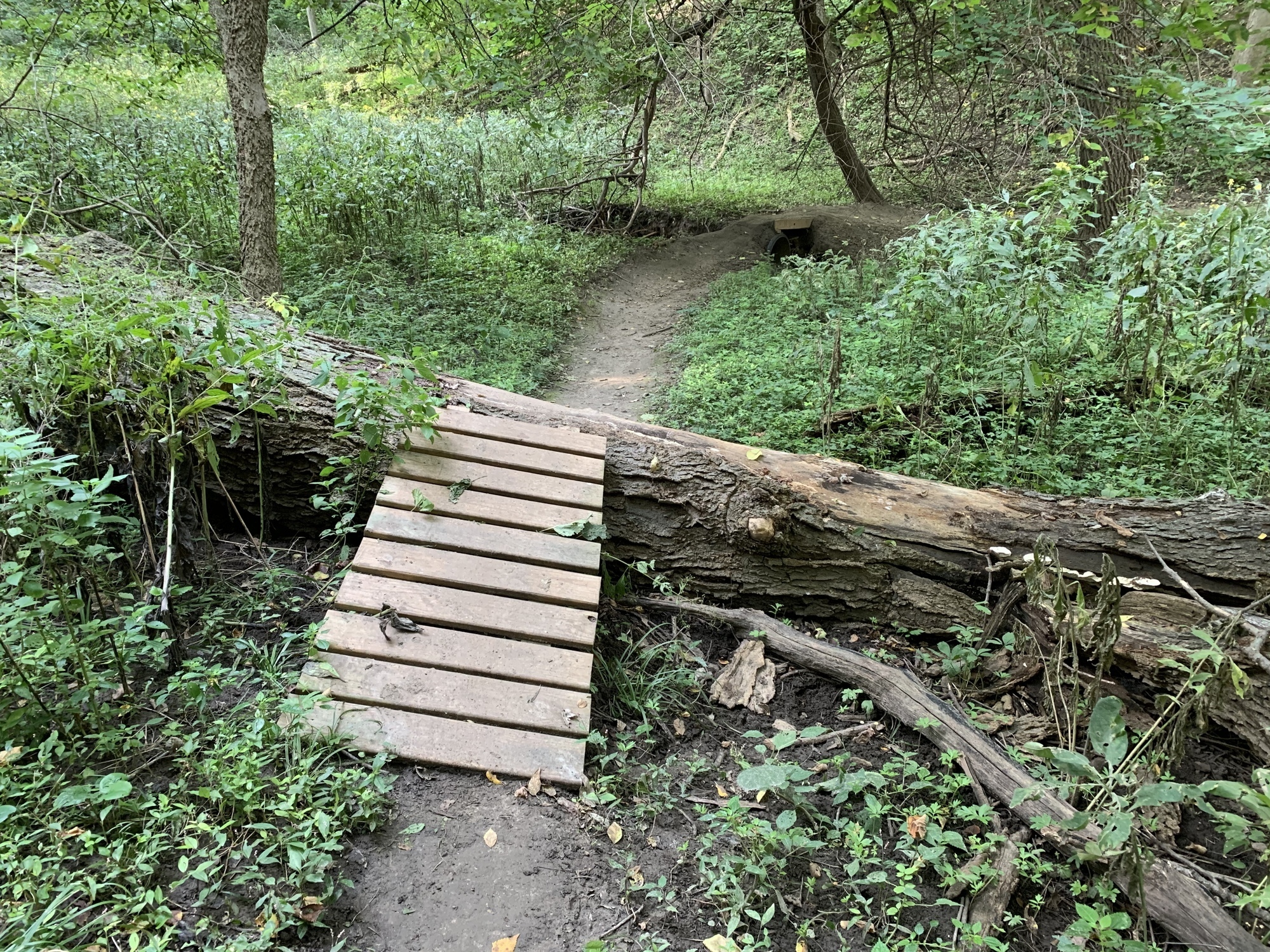 Super sketch jump into corner and off camber bridge