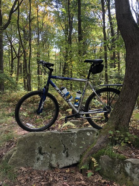 Rector-Eddie Road Mountain Bike Trail, Waterford, Pennsylvania
