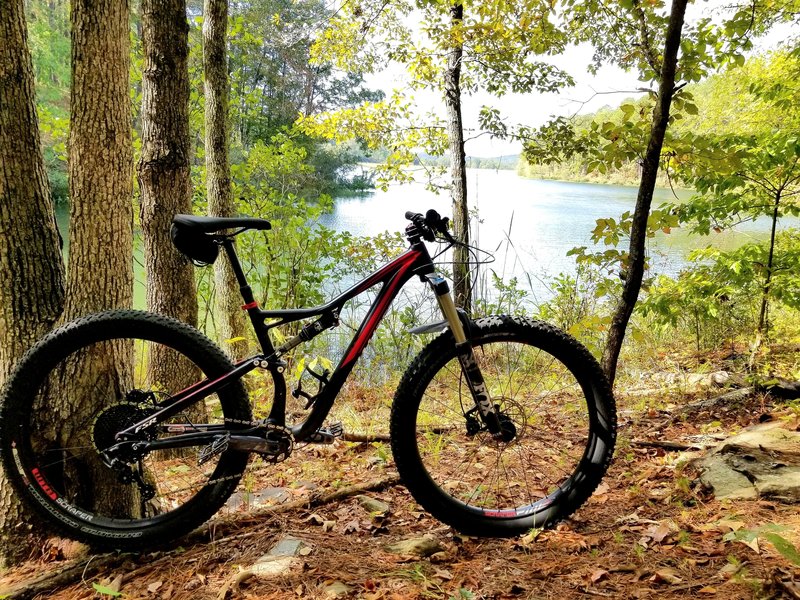 Lakeview Loop Mountain Bike Trail, Mignon, Alabama