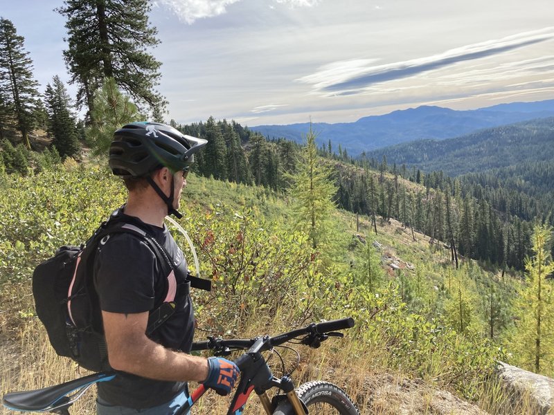 View after emerging from singletrack. 75% forest service roads-great on ...