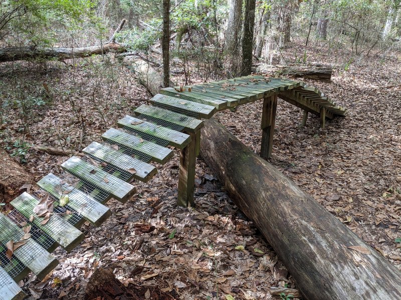 Tall ramp over log on Zig Zag trail at Blythe Island Regional Park.