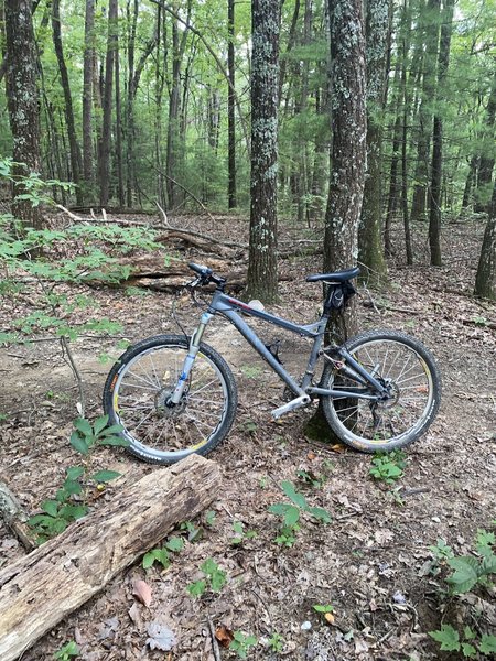Bull and Jake Mountain - IMBA EPIC Mountain Bike Trail, Dahlonega, Georgia