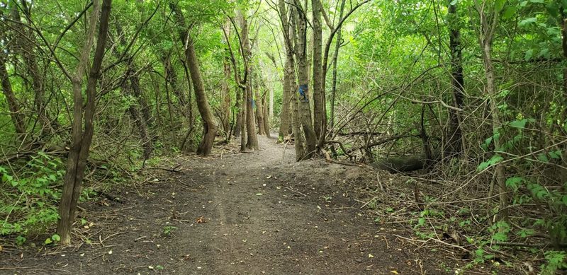 Lake LaShane: Phase 1 Mountain Bike Trail, Lamoni, Iowa