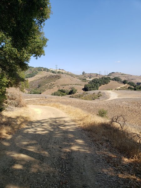 There and Back Again Mountain Bike Trail, Almaden Valley, California