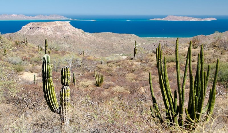 Baja Divide: Section 16 Mountain Bike Trail, Ciudad Constitución, Mexico