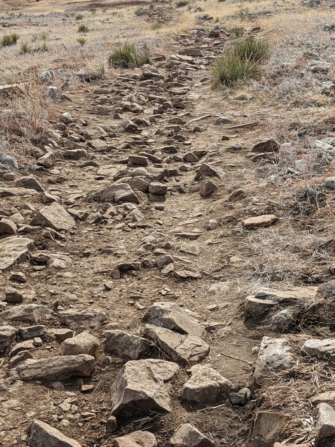 Typical section of Eagle Wind Trail.