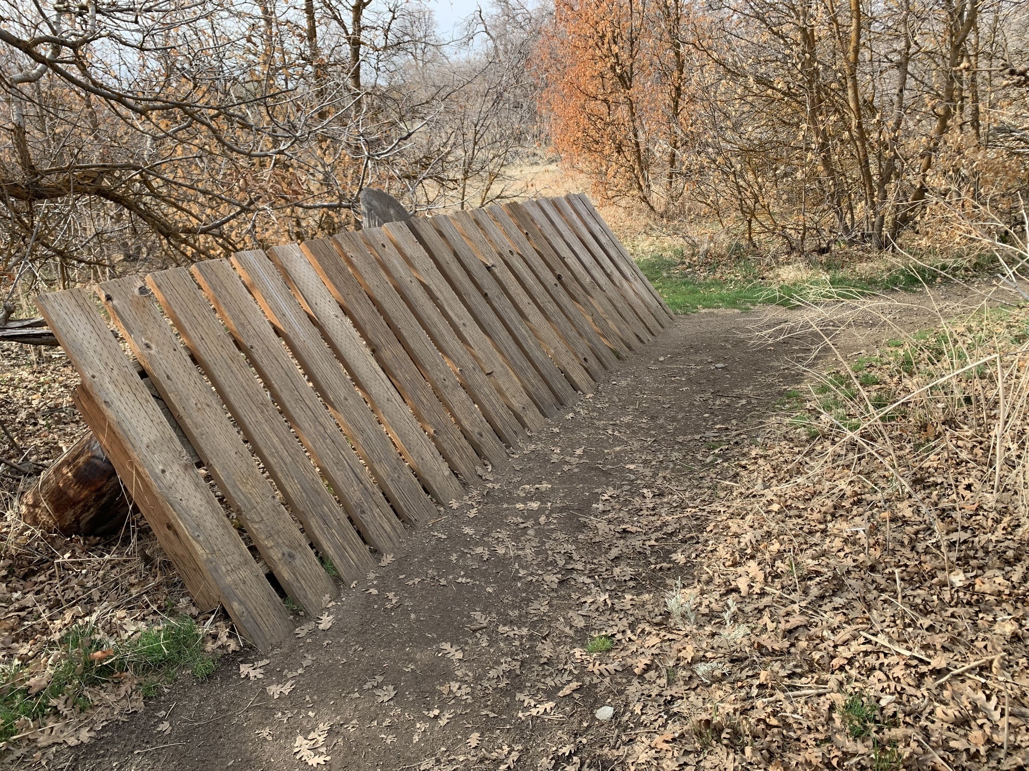 Wooden berm on Upper Crest section.