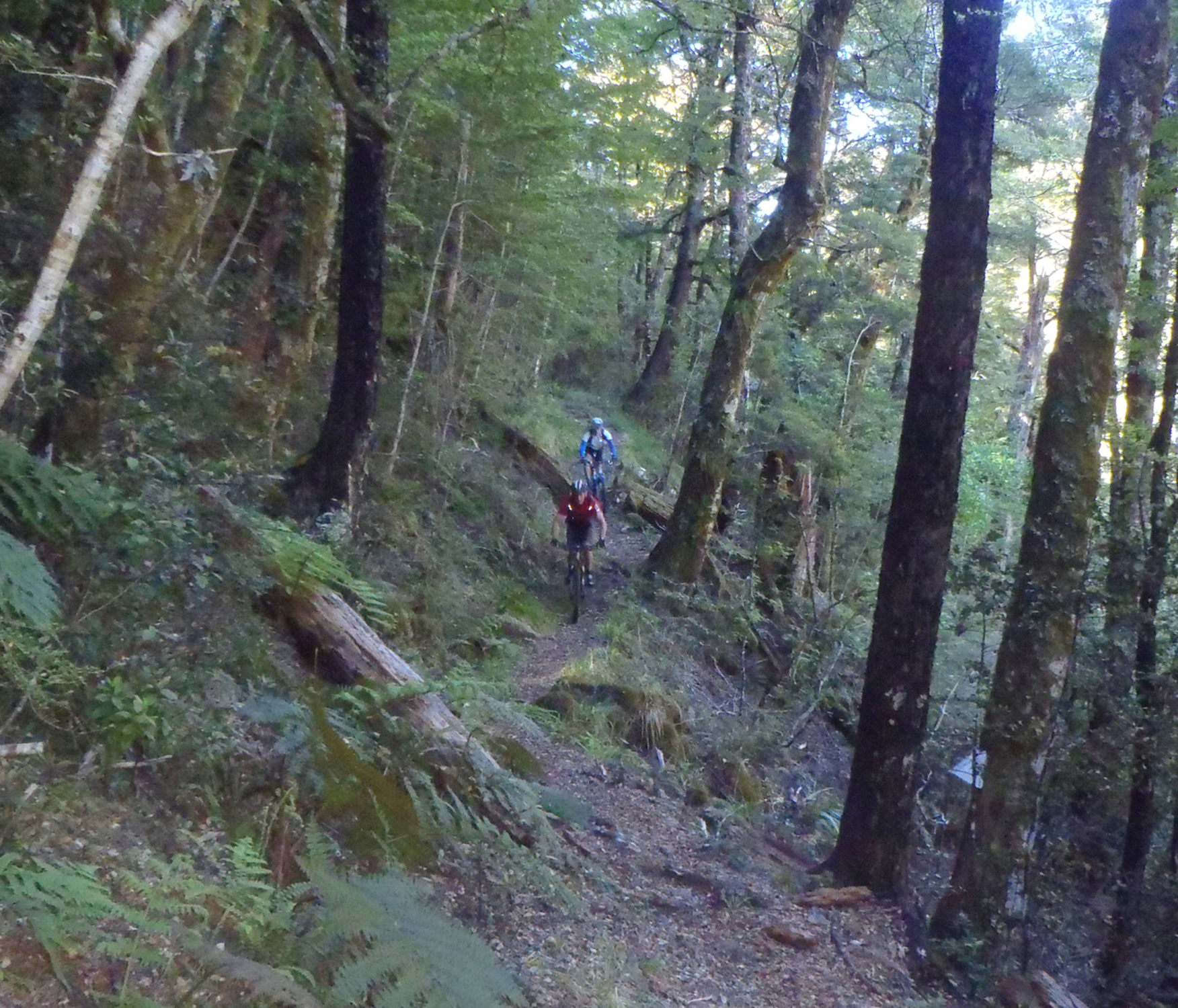 Technical riding on the true right of the Takaka River