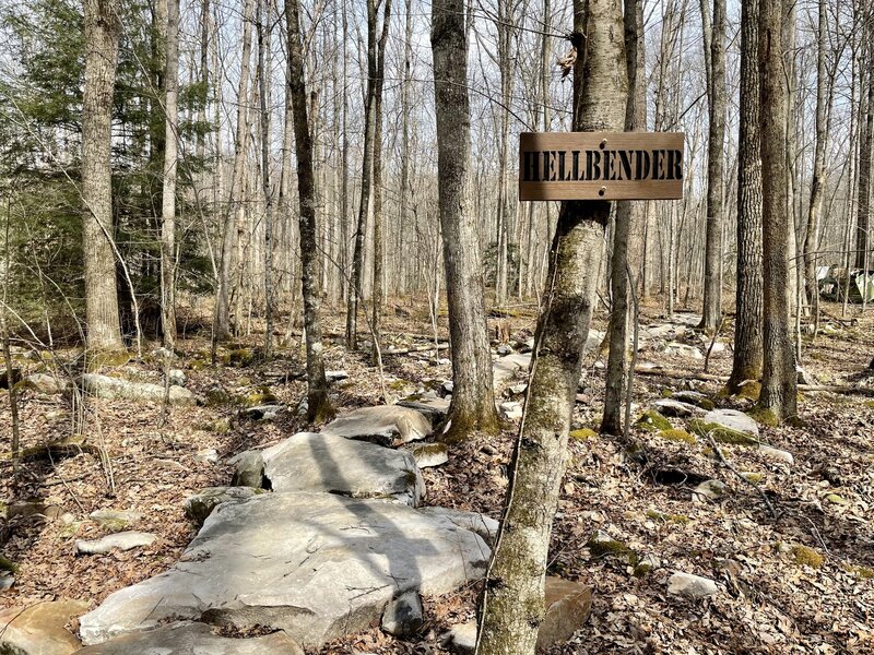 Hellbender Rock Garden