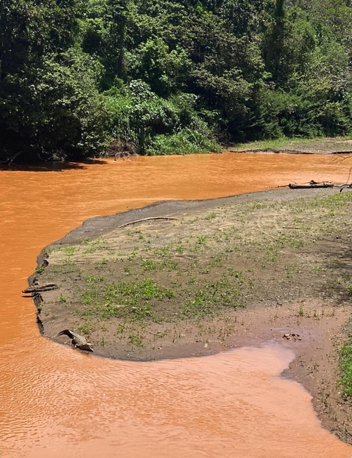 3 meters of croc from the Rasta Bridge before Santa Marta! He lives ...