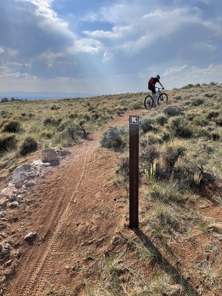 Lower Trail 10 Mountain Bike Trail, Laramie, Wyoming
