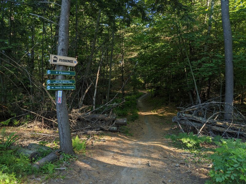 Florence Mountain Bike Trail, Stowe, Vermont