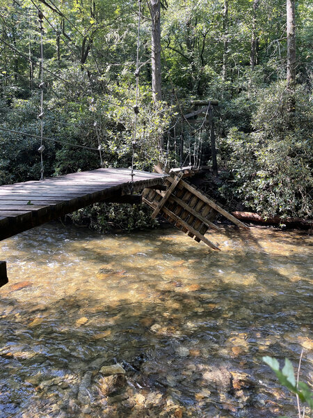 Post TS Fred. Taken 8.24.2021. First footbridge from Turkey Pen Trailhead.