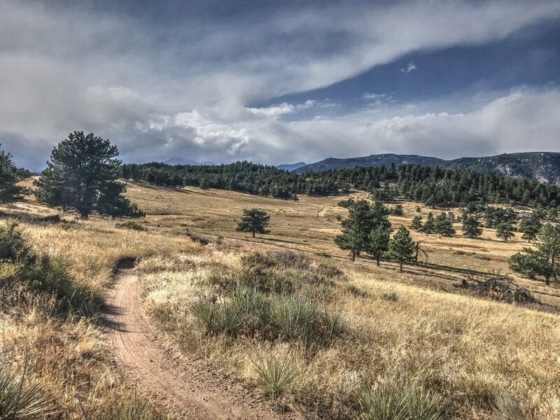 About a third of the way of Nelson Loop before the descent.