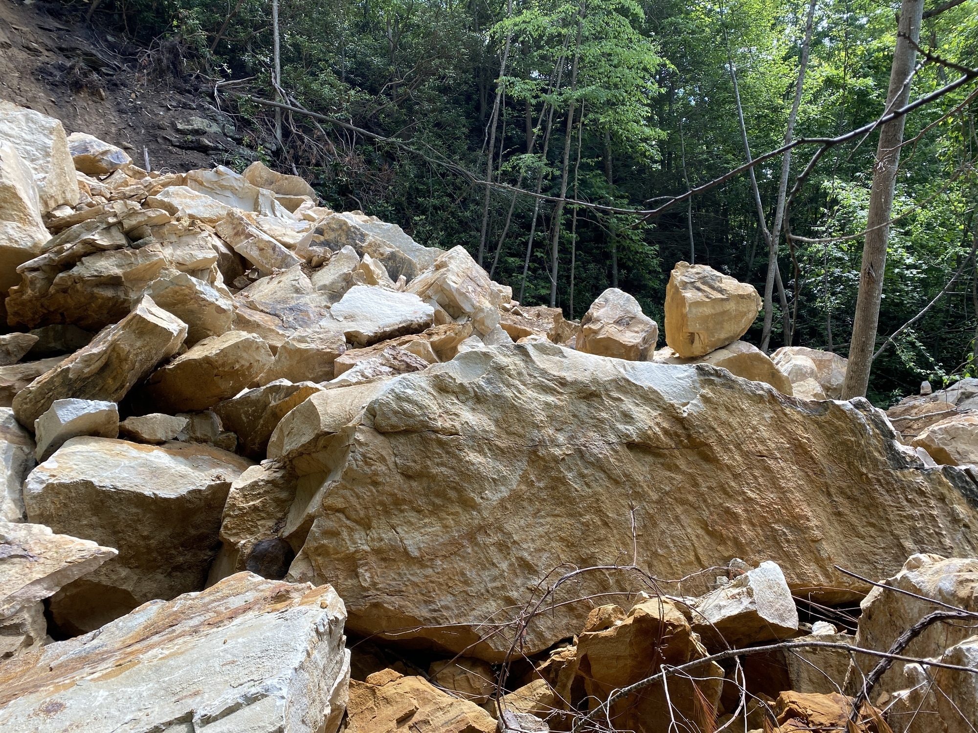 Large boulder slide preventing access to the remainder of the trail.