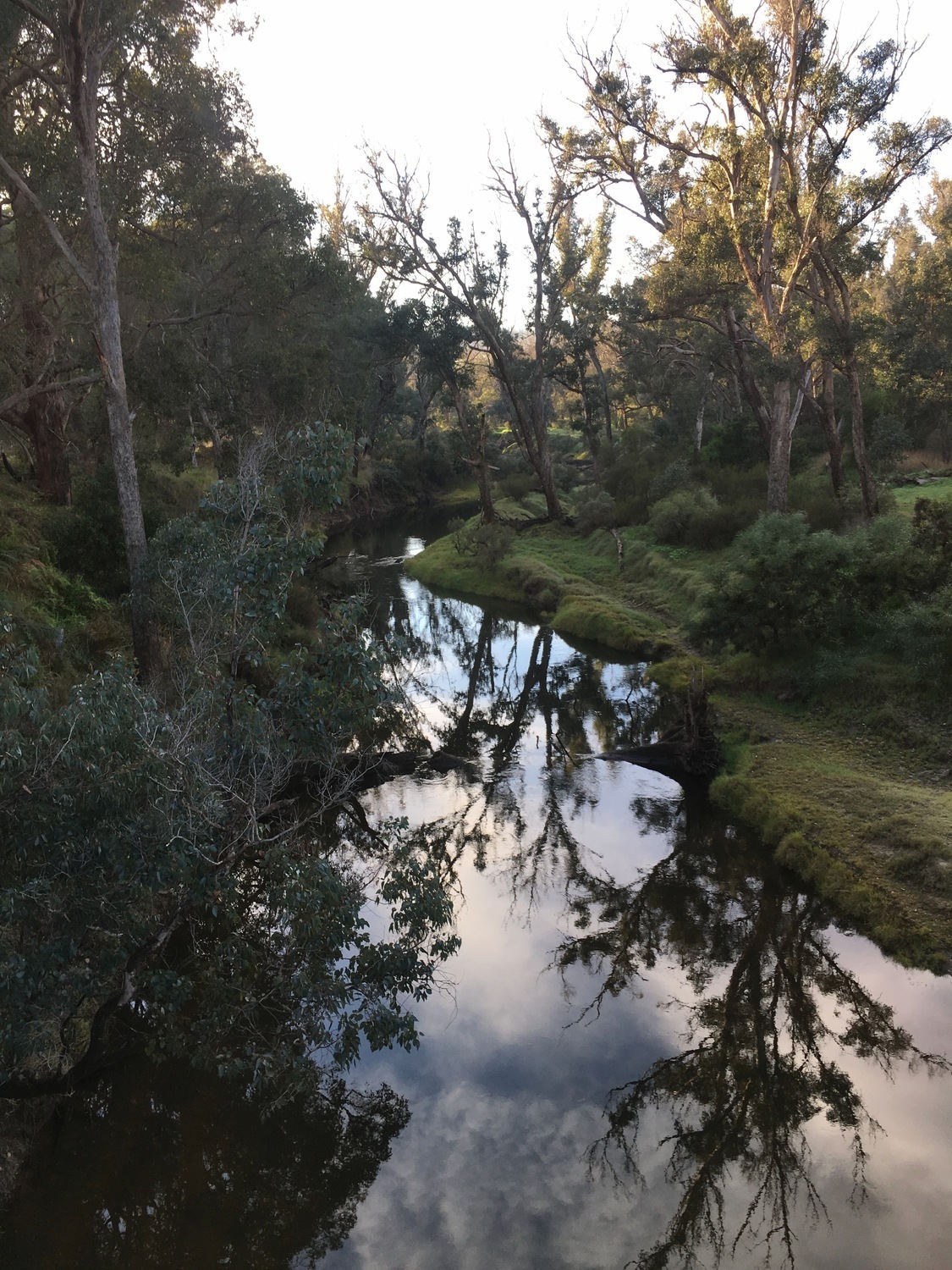 Crossing the Blackwood River, coming into Nannup on the Munda Biddi ...