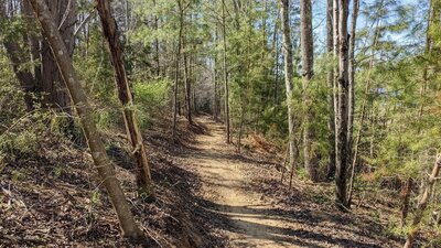 Mountain Bike Trails near Salem State Forest/Saint Mary's Lake