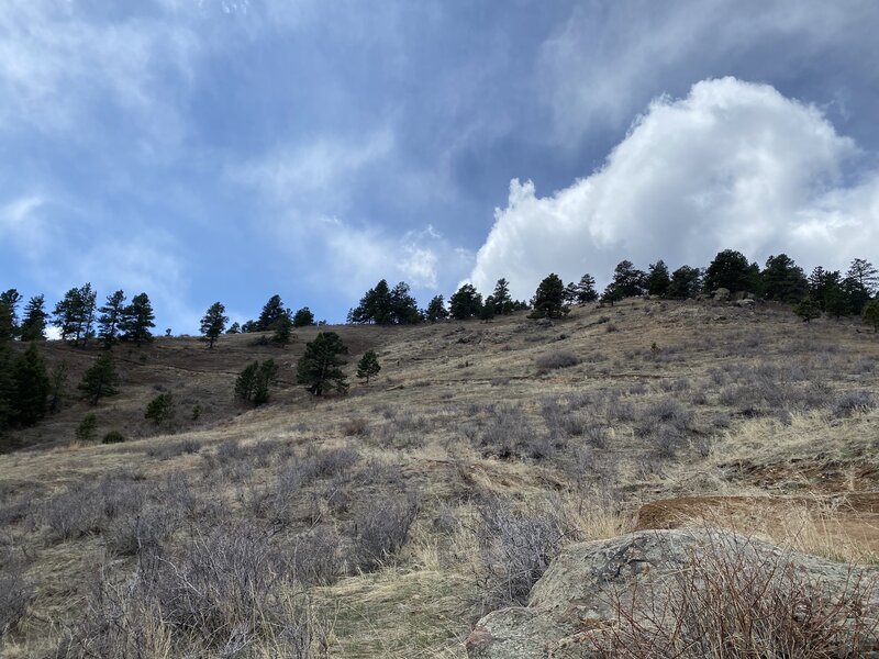 Bonanza Trail Mountain Bike Trail, Golden, Colorado