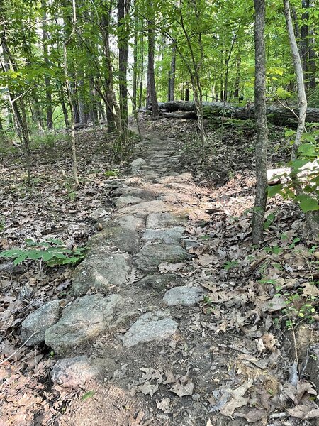 Hand built rock armoring/rock garden