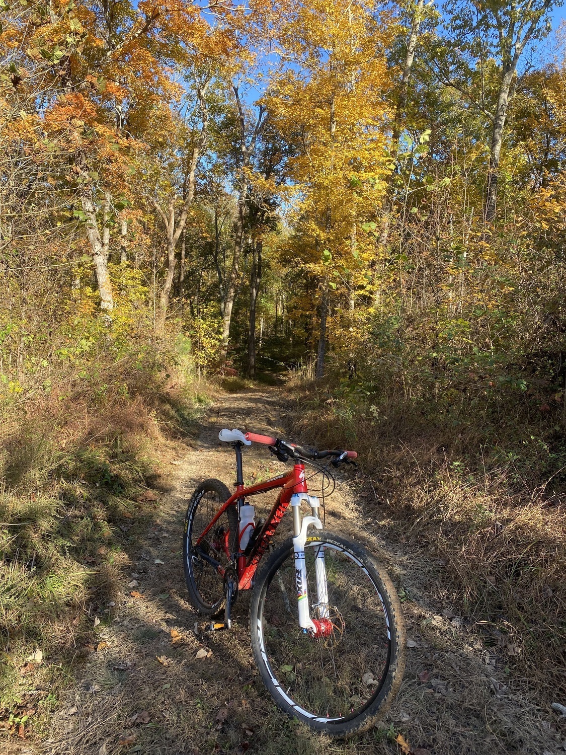 Biking the Pine Lake Loop.