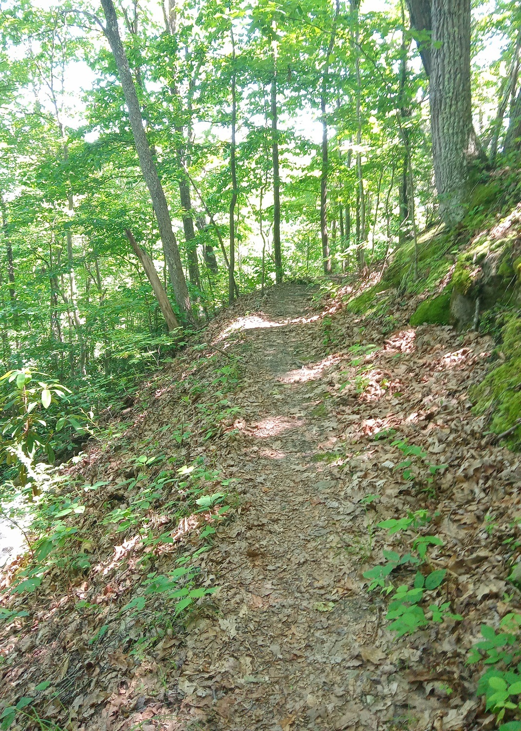 The turn that takes the trail away from the drop (Drop-off Trail).