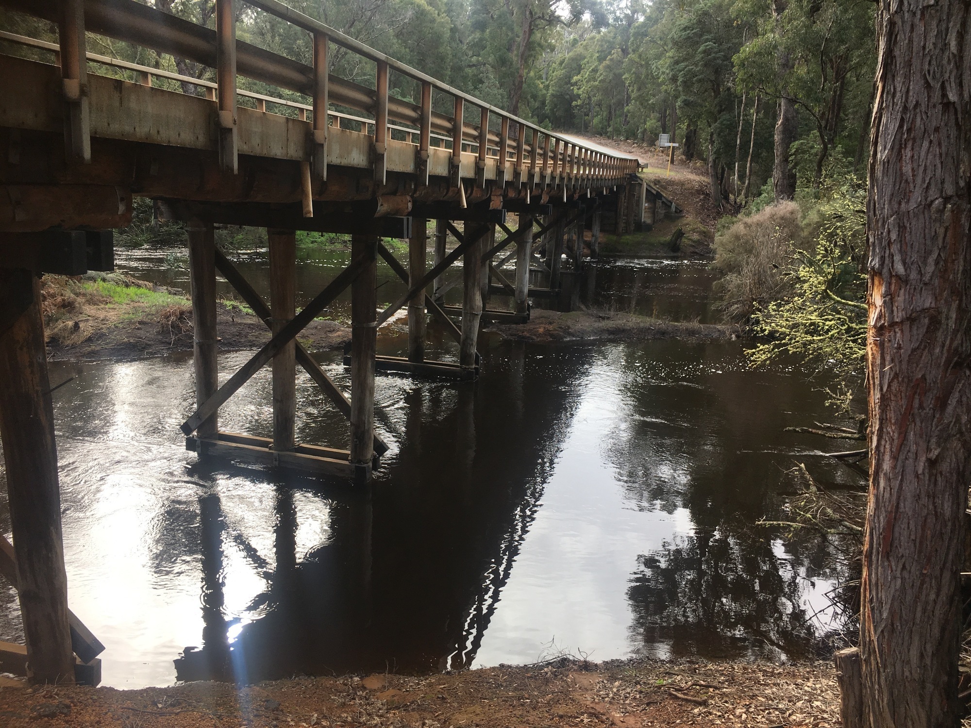 Historic timber bridge over the Warren River on the Munda Biddi trail.